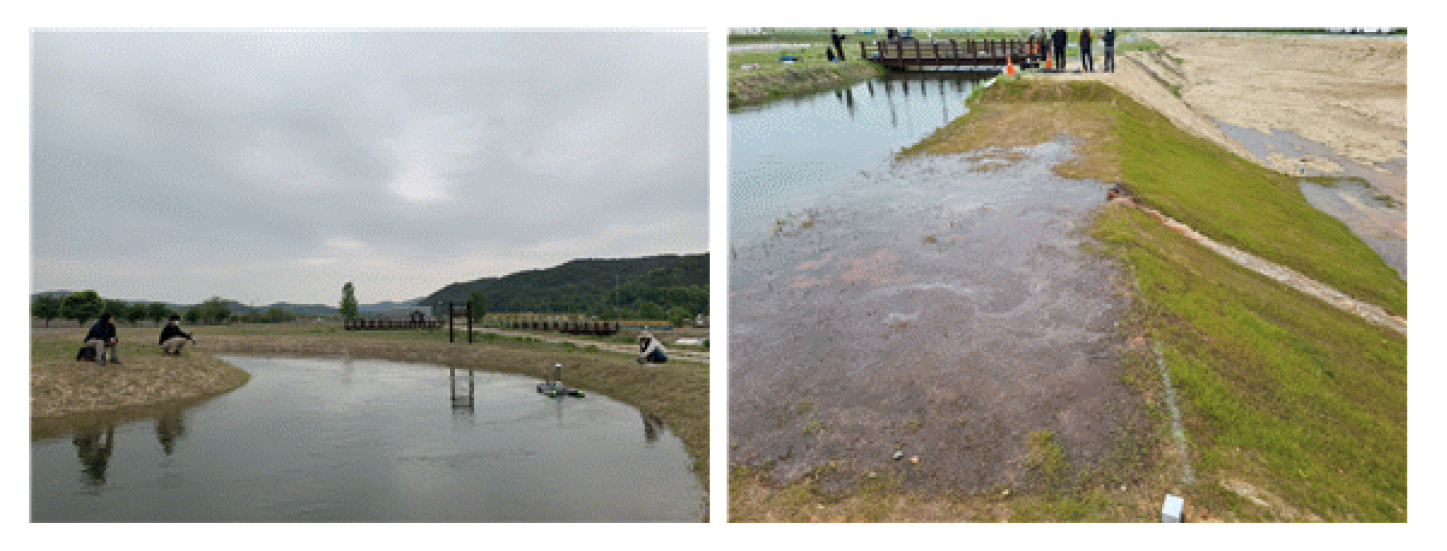 A Study of Real Scale Experiment on Protection Technique of Levee ...